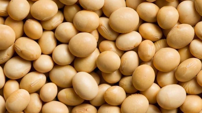 Petition · Soy Effects Awareness - United States · Change.org