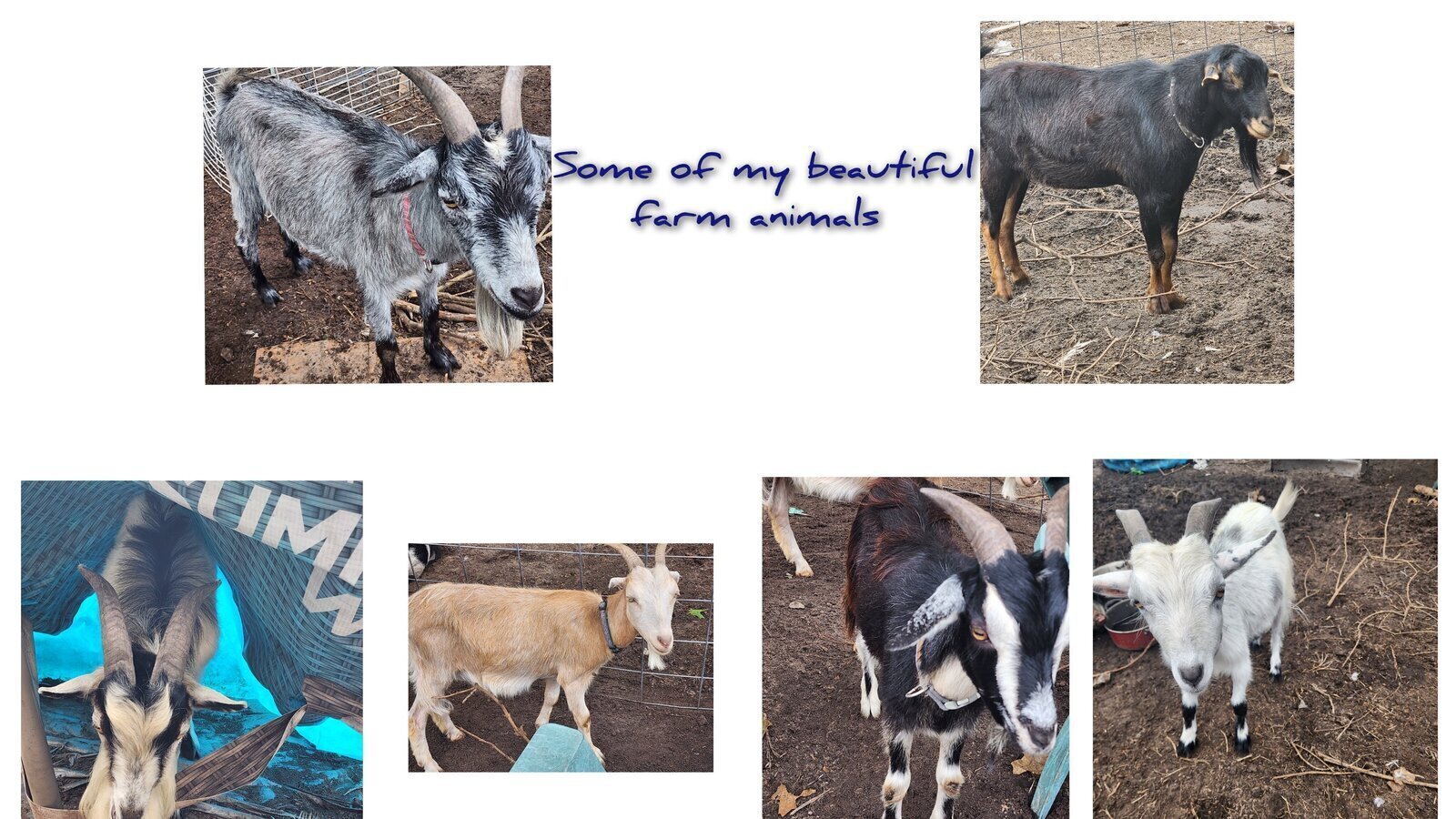 Petition · Help save our farm - United States · Change.org