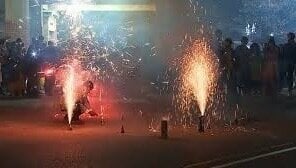 Petition · Implement Strict Enforcement of Firework Ban and Introduce ...