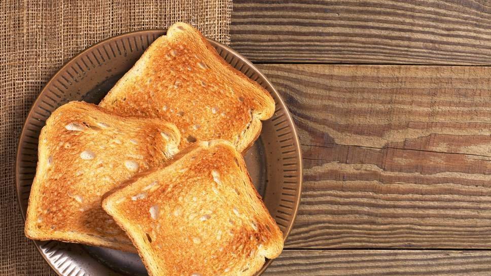 Petition · Declare Toast an animal - United States · Change.org