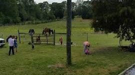 Petition update · OVER 150 - PLEASE CONTINUE TO SHARE AND INFORM OTHERS ...