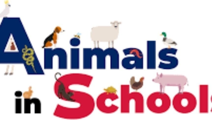 Petition · Allow Animals in Schools for a Better Learning Environment ...