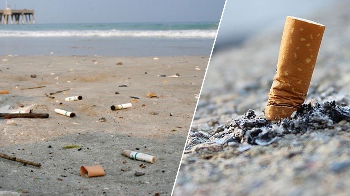 Petition · Stop Cigarette Pollution in the Oceans! - United States ...