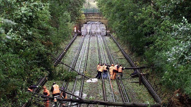 Petition · Stop Network Rail Chopping Down Millions of Trees! - United ...