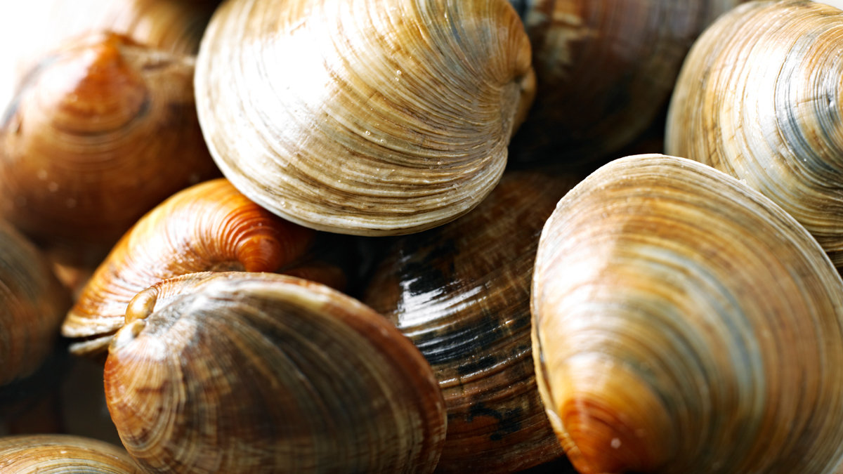 Petition · Save New Jersey's Shellfish Industries by Legalizing ...