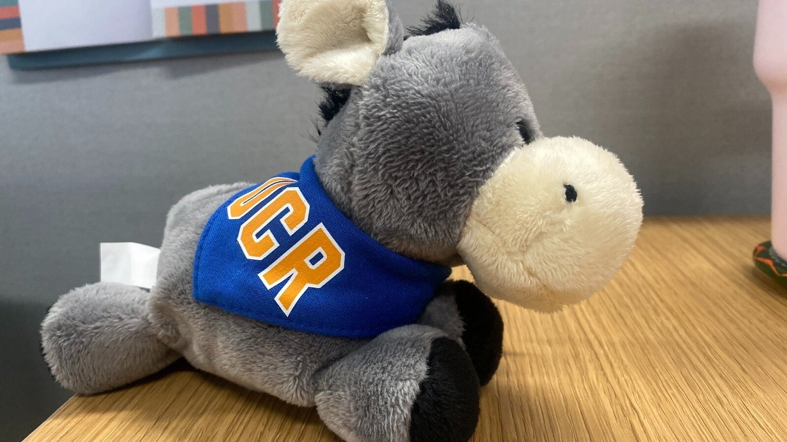 Petition · Transform UCR's Mascot from Highlanders to Burros ...