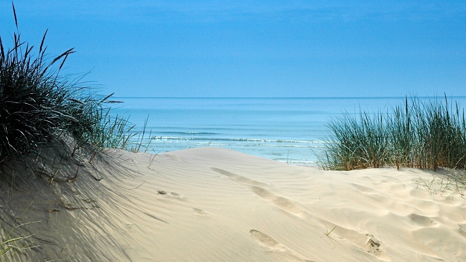 Petition · ROTHER COUNCIL - STOP the £30 parking at Camber Central Car ...