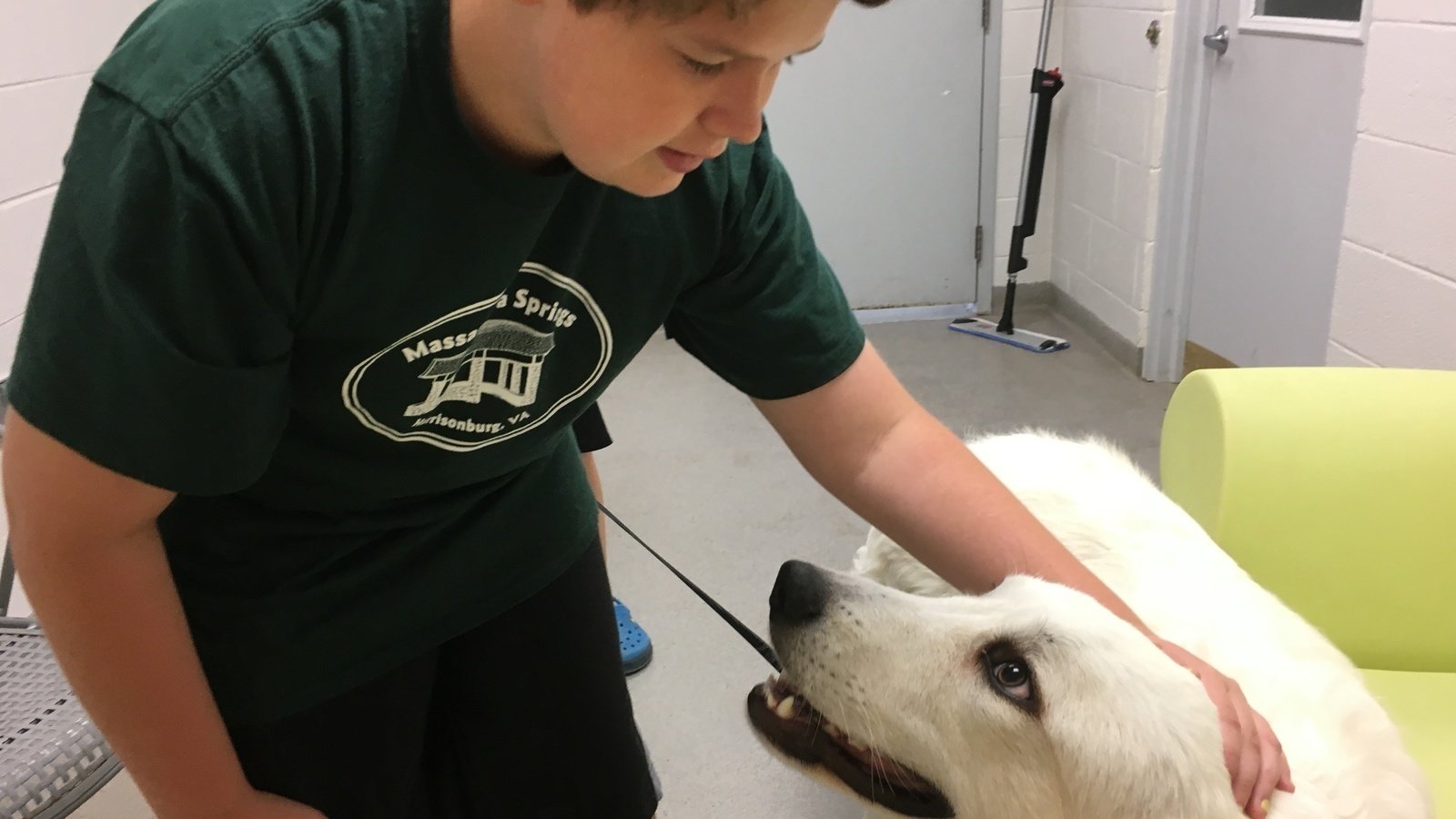 Petition · Getting a Dog - United States · Change.org