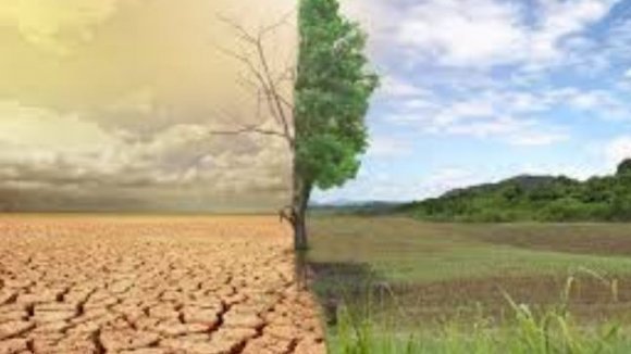 Petition · the consequences of human damage to nature - Mongolia ...