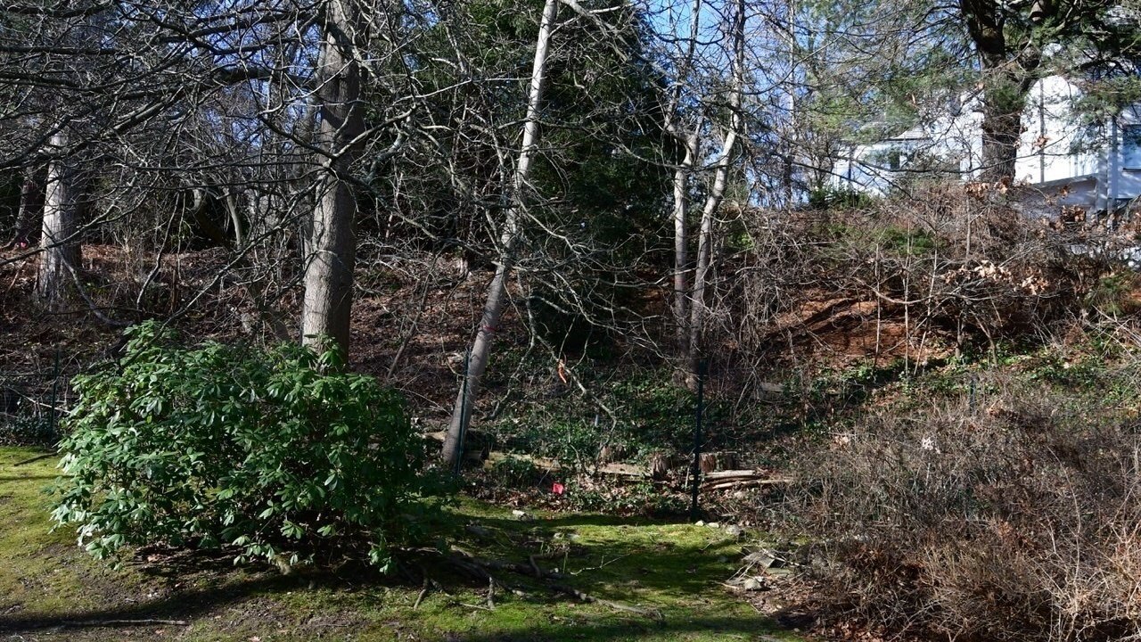 Petition update · Save The Hill, Stop the Walls! Update · Change.org ...