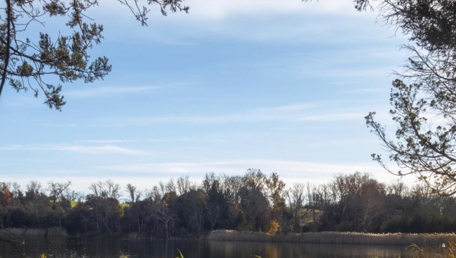 Petition · One Final Step to Stop the proposed 500-foot tower in Ramapo ...