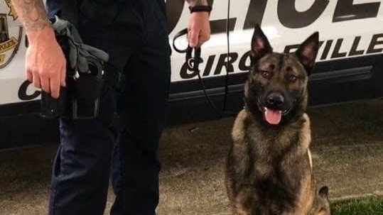 Petition · Bring Harry Home! - United States · Change.org