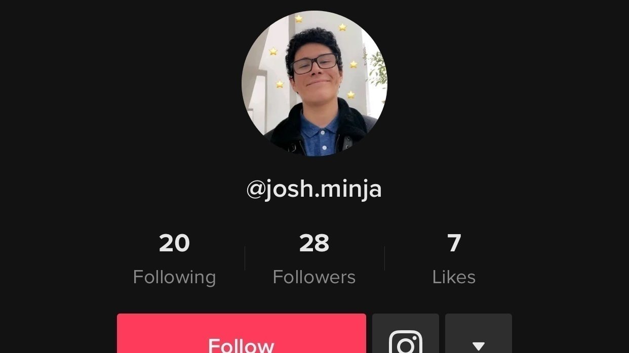 Pétition · Stop Joshua from making TikToks - États-Unis · Change.org