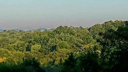 Petition · Stop controversial Colletta Park development! - Franklin ...