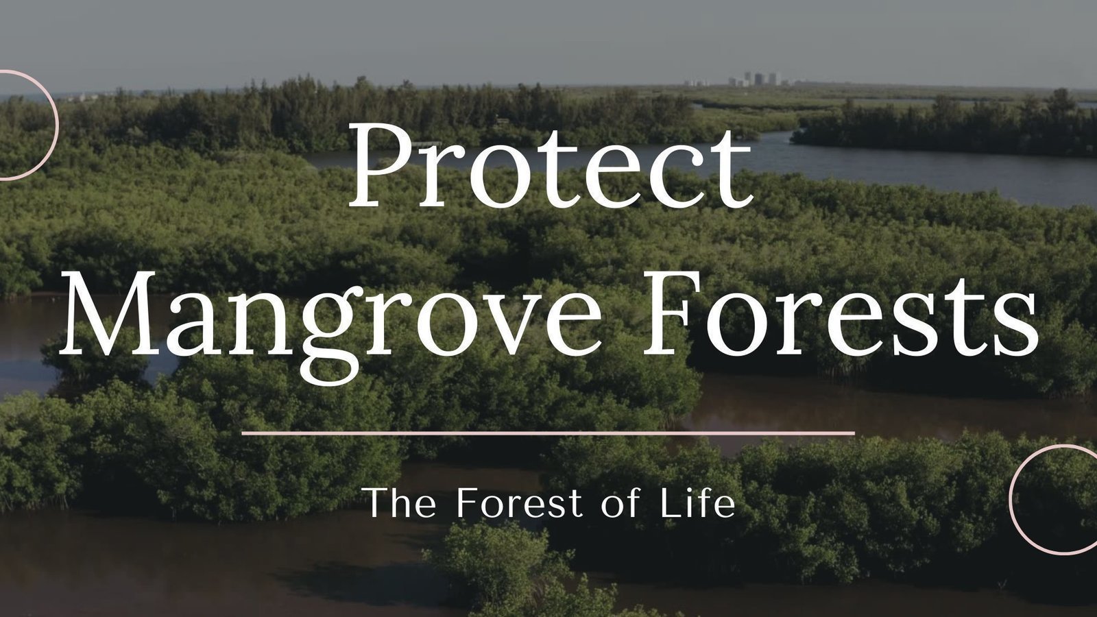Petition · Protect Mangroves For They Protect Us - Philippines · Change.org