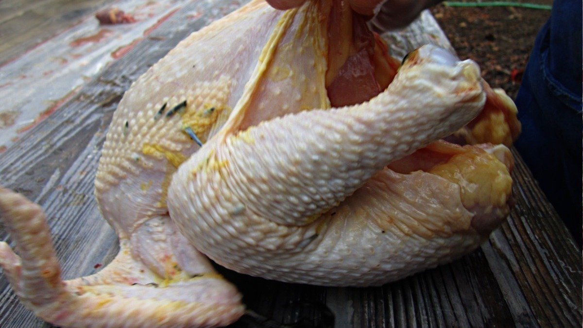 Petition · STOP SENDING CHICKEN TO CHINA FOR PROCESSING - United States ...