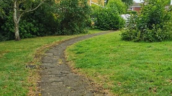 Petition · New pavement at Wolf Lane please - United Kingdom · Change.org