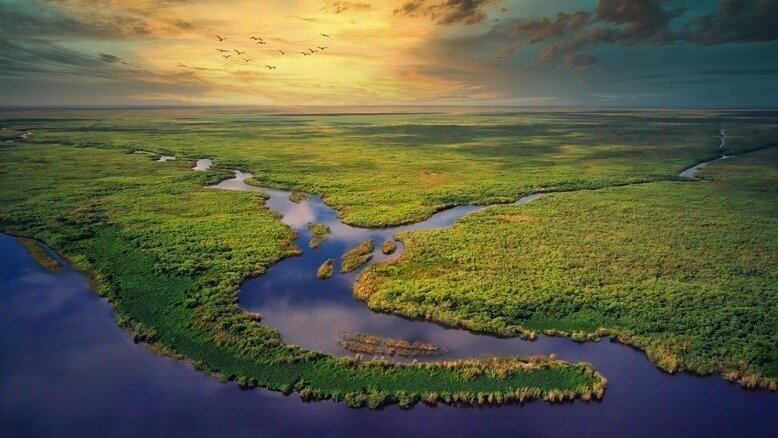 Petition · Save The Everglades - United States · Change.org