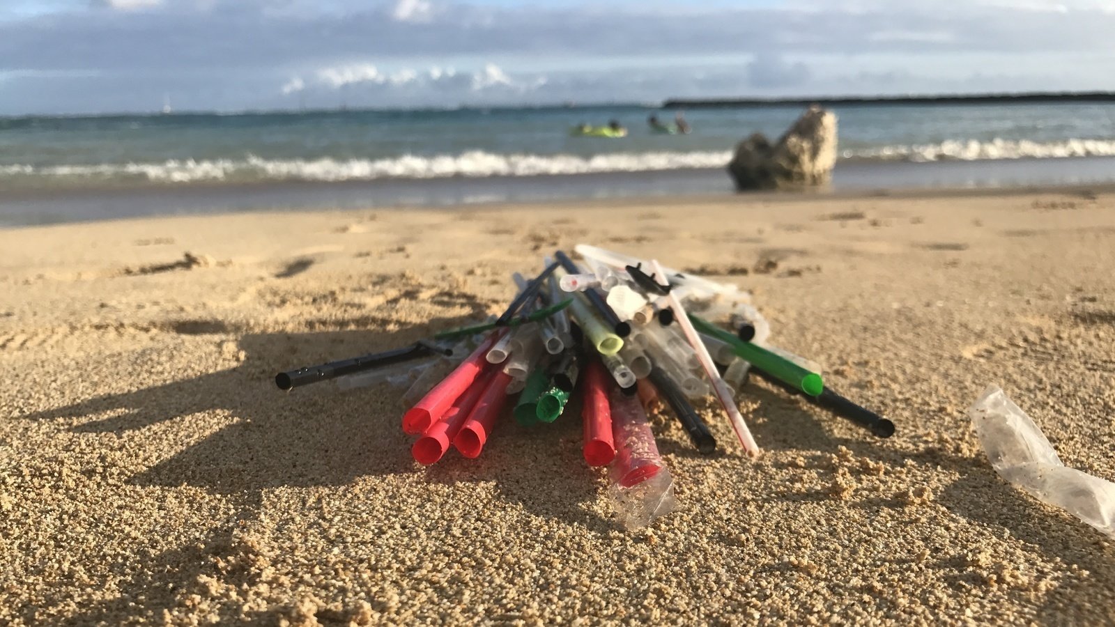 Petition · Remove Single Use Plastic from Florida's Themeparks - United ...