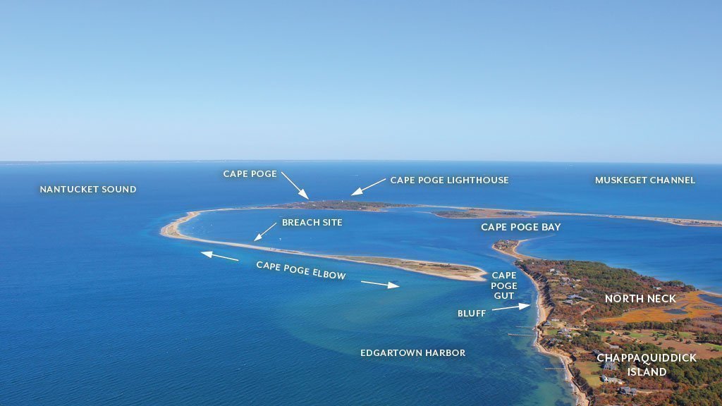 Petition · Keep Cape Pogue available for Everyone! - United States ...