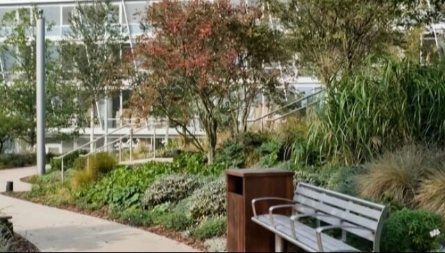 Petition · Bring back the Polly Benches in Liverpool One - United ...