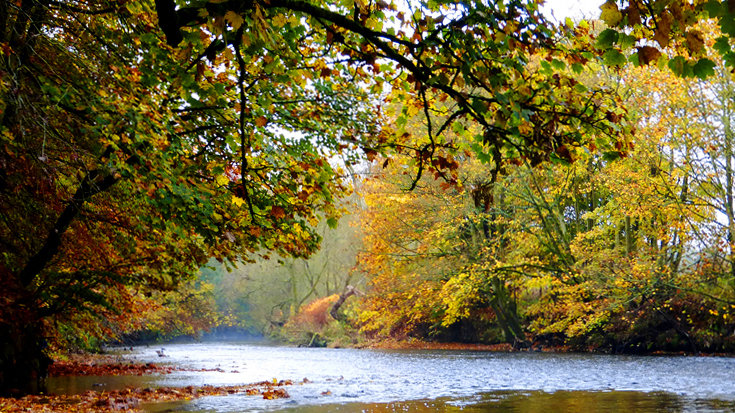 Petition · Stop the A6-M60 Bypass: save Stockport’s beautiful Goyt ...