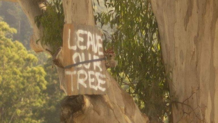 Petition · Create a closed Nature Reserve around The Warburton Tree ...