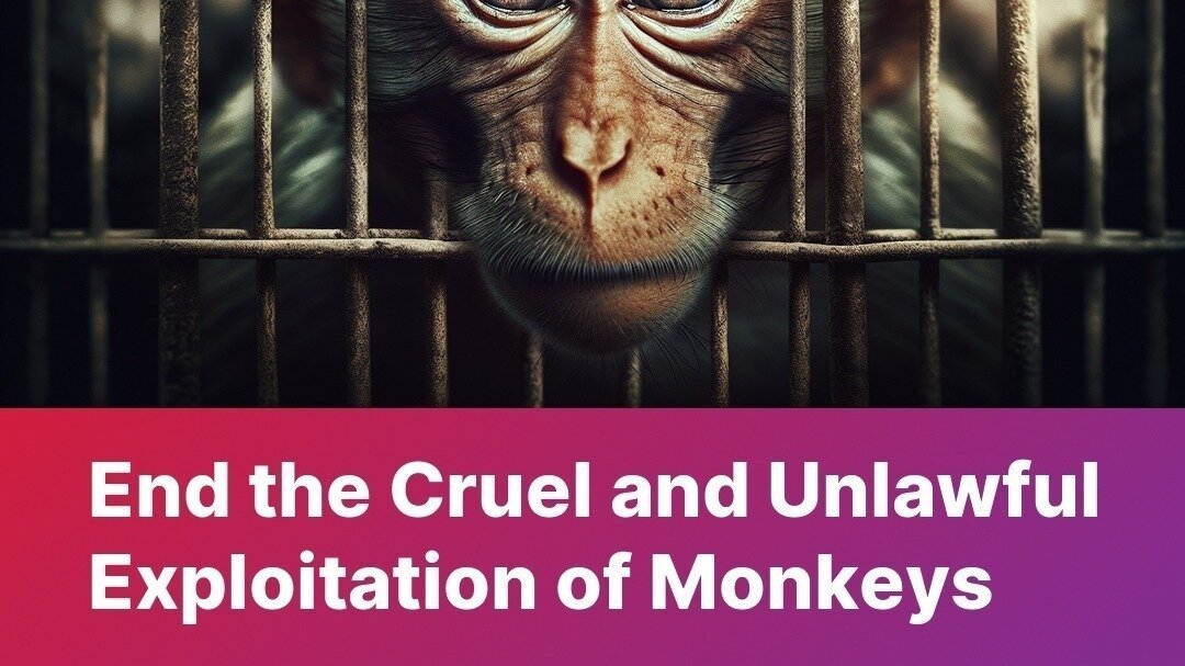 Petition · End the Profit-Driven Sexual Exploitation and Violence ...