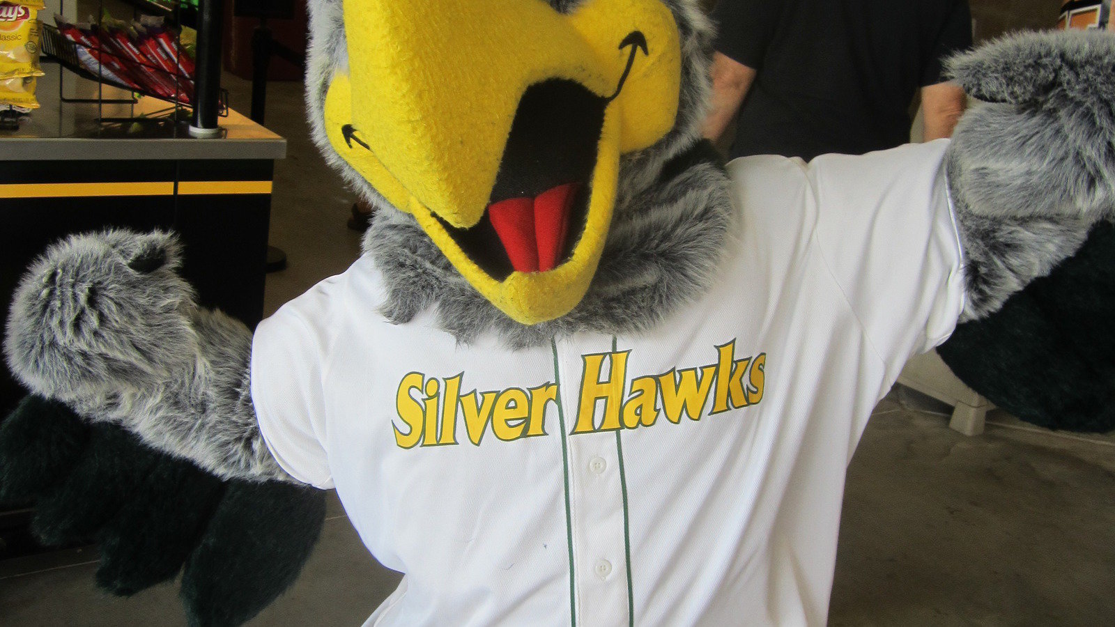 Petition · We the fans of the South Bend Silver Hawks, ask that the ...