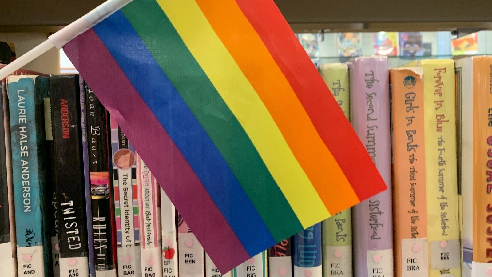 Petition · Support LGBTQ+ Inclusive Schooling In Summit School District ...