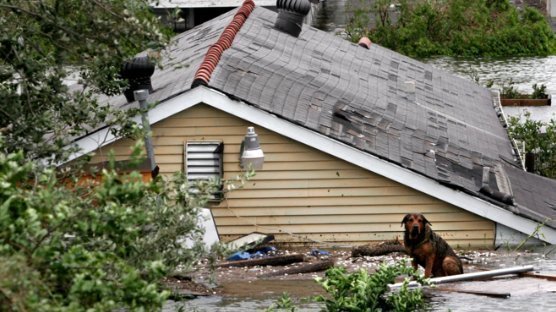 Petition · Help Disaster Victims! Please sign to Stop loss of Homes ...