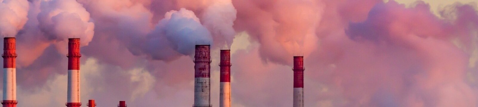 Petition · Reduce Air Pollution for Healthier Lives - United States ... Petition · Reduce Air Pollution for Healthier Lives - United States ...