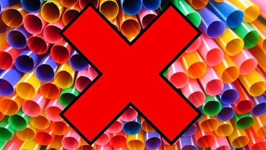 Petition · Ban Plastic Straws in Wisconsin - United States · Change.org