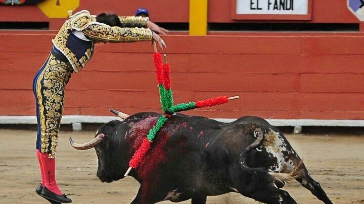 Petición · Un grito por acabar con las corridas de toros en el Perú ...