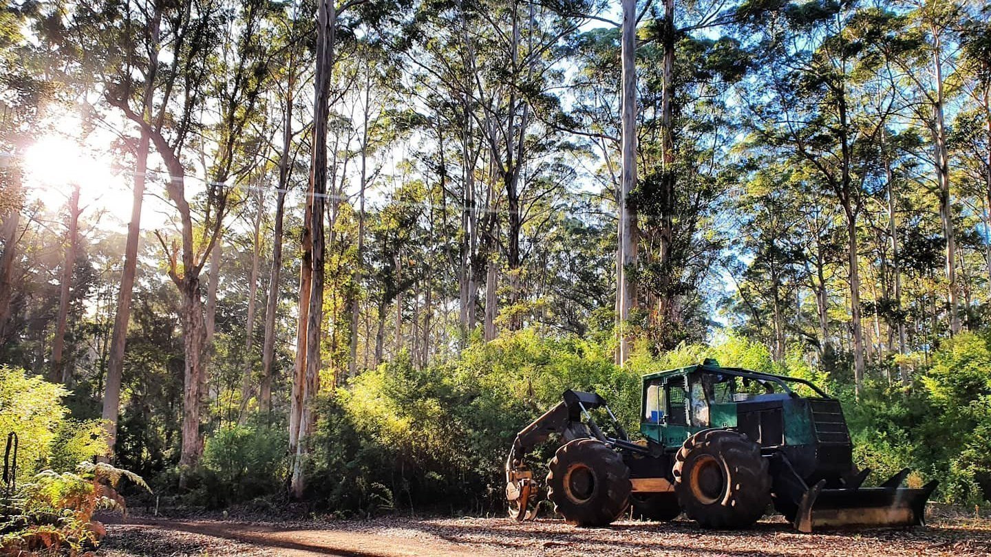 Petition · Transition out of logging South West native forests ...