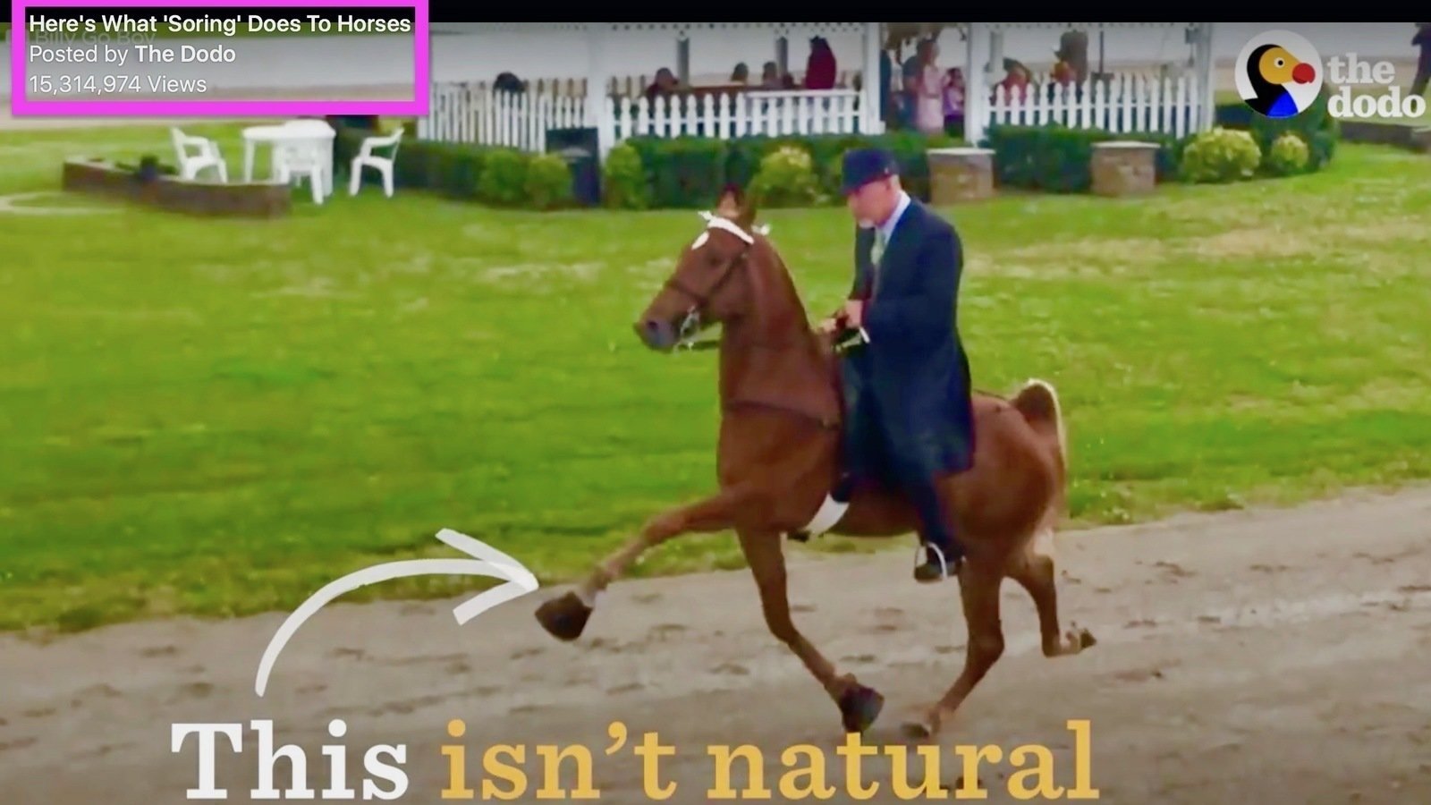 Petition · Please Boycott Animal Cruelty - Columbia Spring Jubilee ...