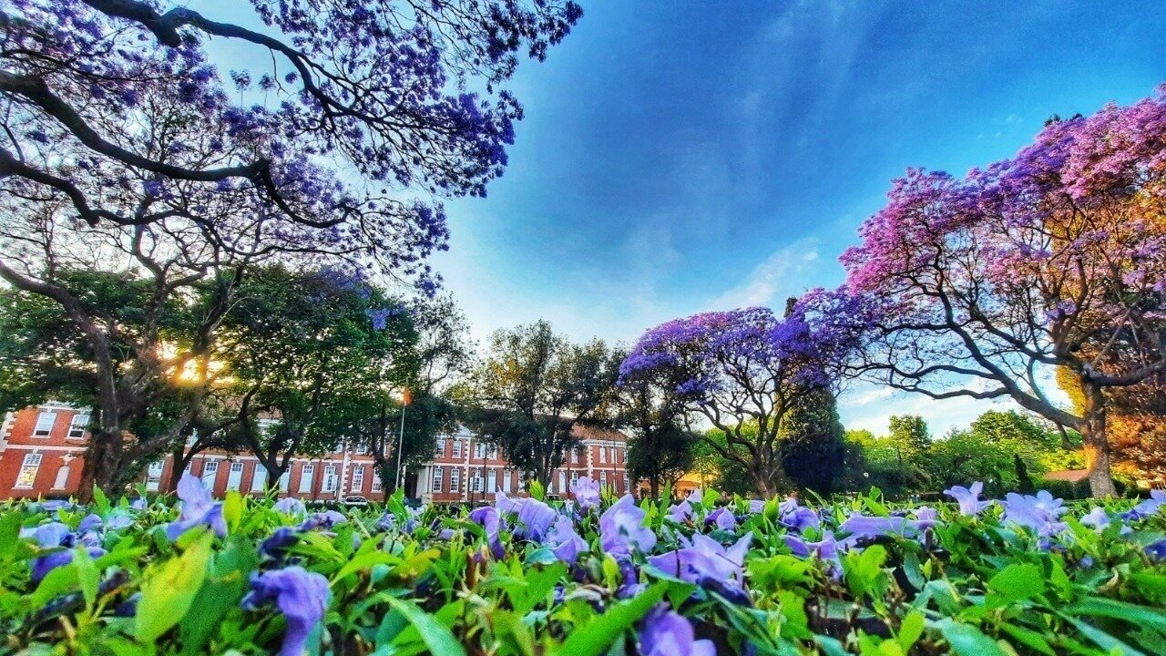 Petition · Support our principal at Pretoria High School for Girls ...