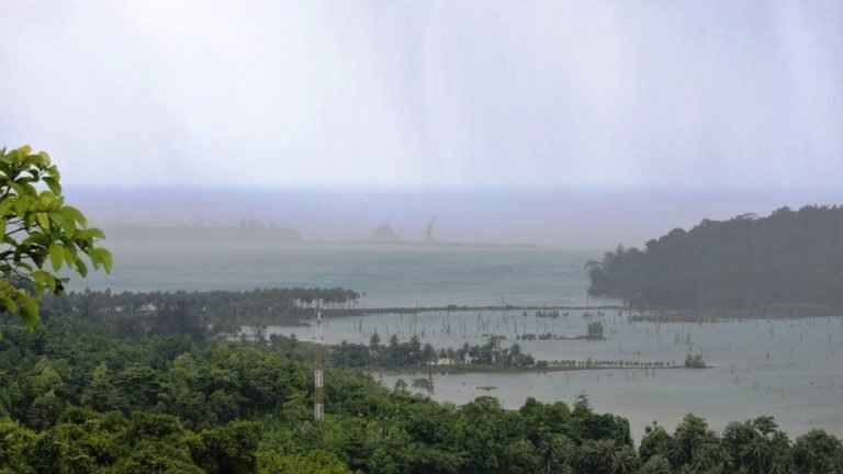 Petition · Save Galathea Bay Wildlife Sanctuary and Great Nicobar ...