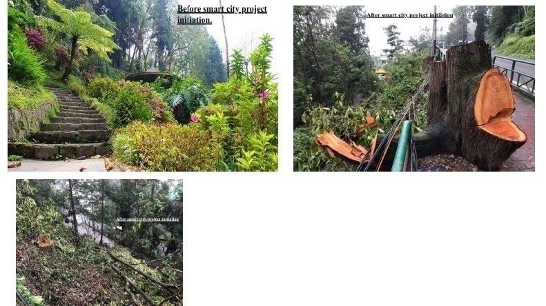 Petition · Save trees save Gangtok. - India · Change.org