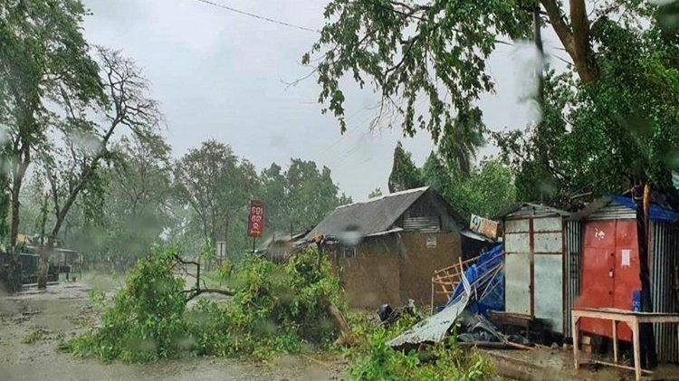 Petition · Save Sundarbans: World Heritage Site: Cyclone Amphan ...