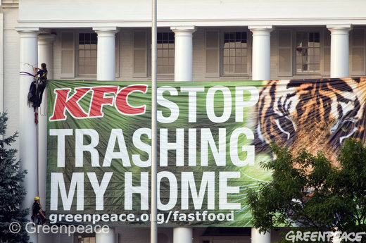 Petition · Tell KFC to stop using rainforest destruction before it's ...