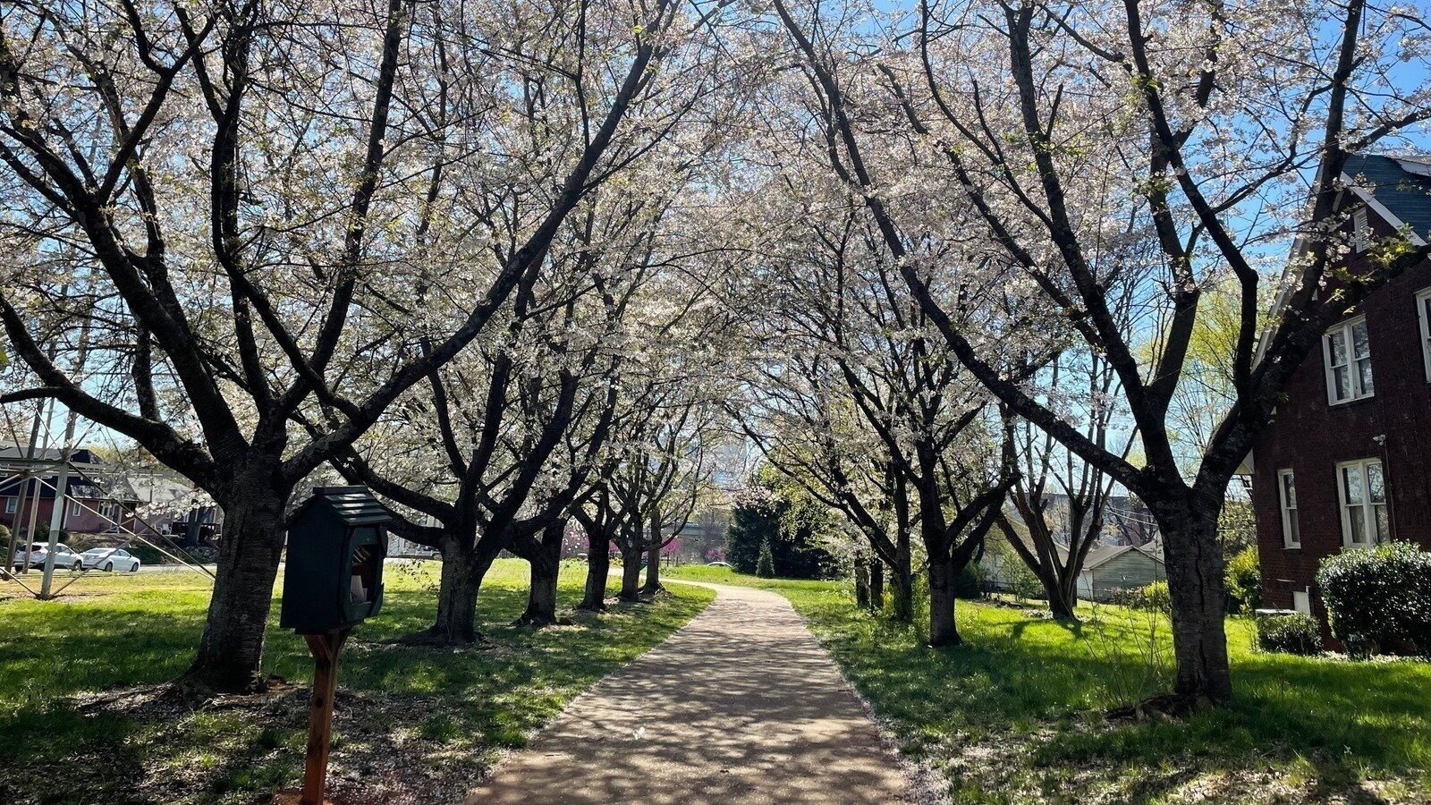 Petition · Stop the planned destruction of historic Charlotte ...