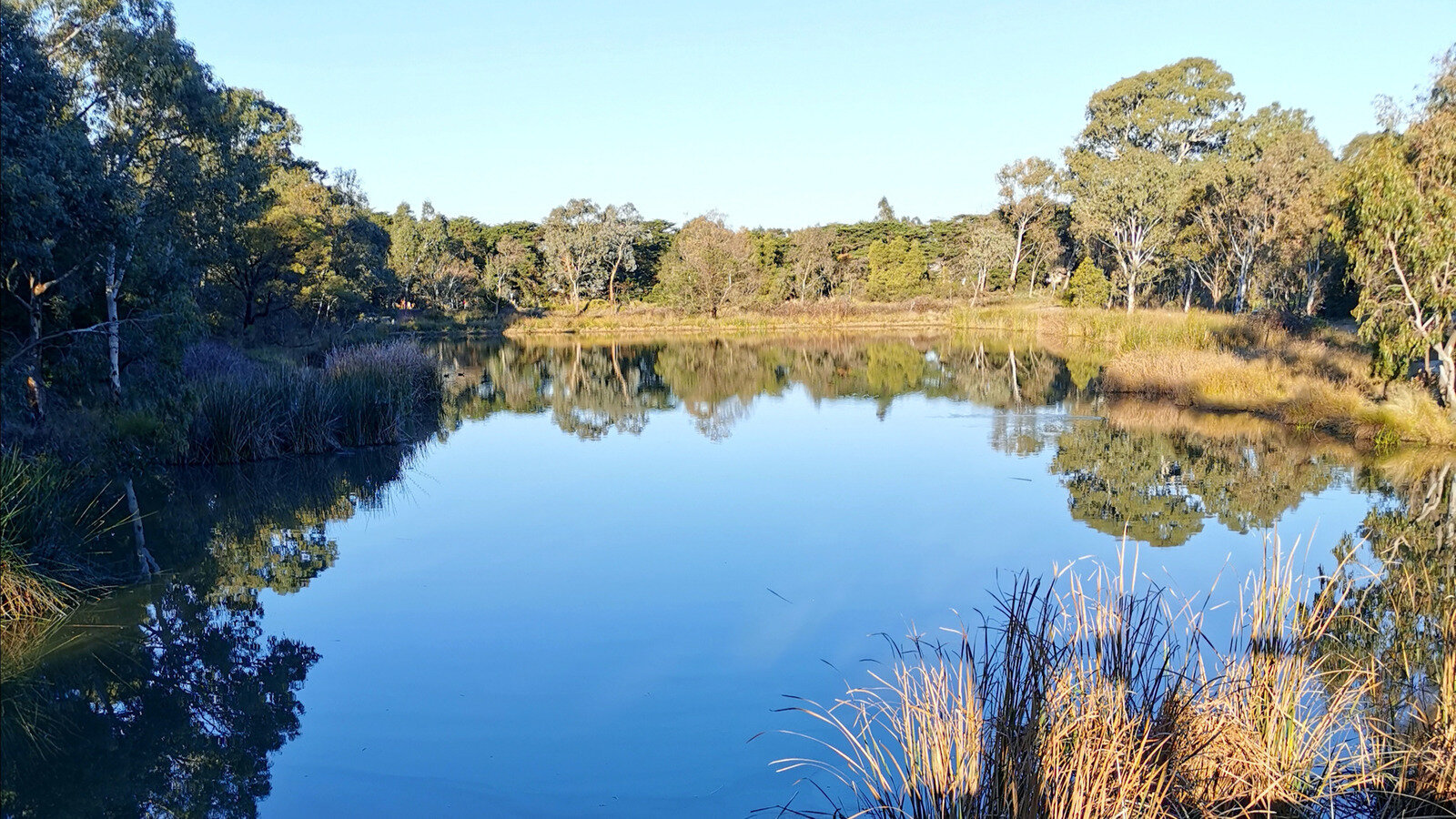 Petition · Stop Whittlesea Council turning the Laurie’s Field Lake into ...