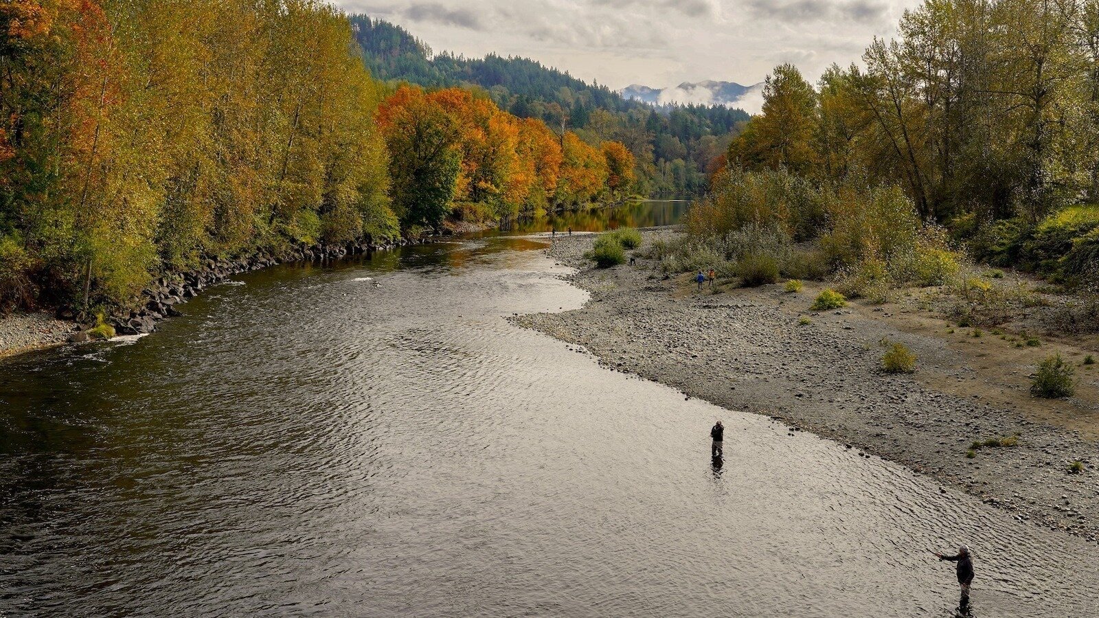 Petition · Protect Fall City’s Drinking Water and the Snoqualmie River ...