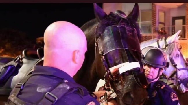 Petition · A petition begging Police to forgo using illogical and ...