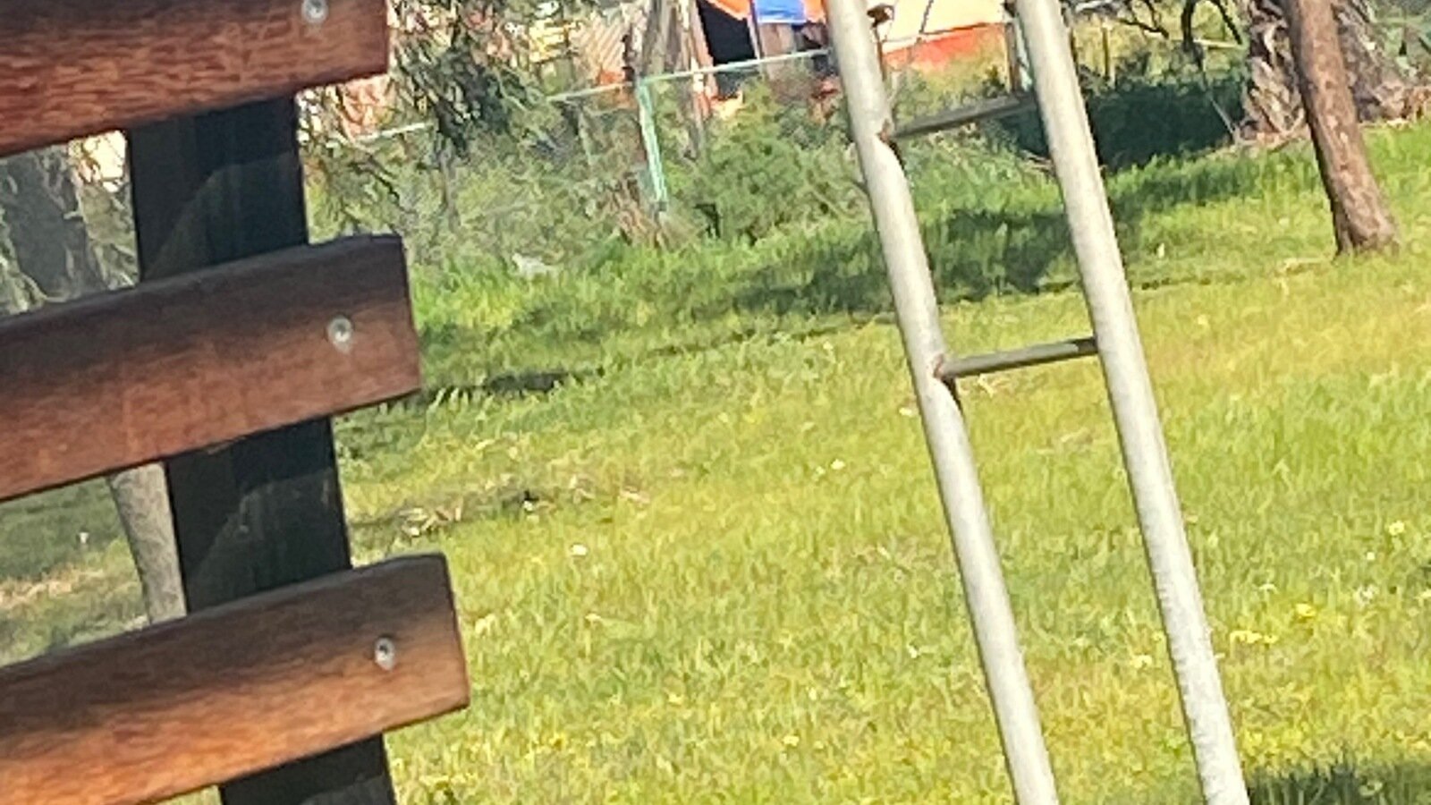 Petition · Erect a fence to stop predators - Australia · Change.org