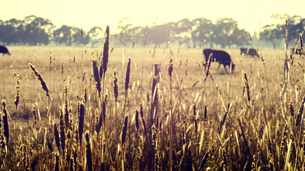 Petition · Farmer's Relief - Australia · Change.org