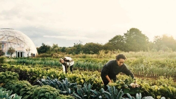 Petition · Ban Pesticides in the U . S. and Promote Organic Farming ...