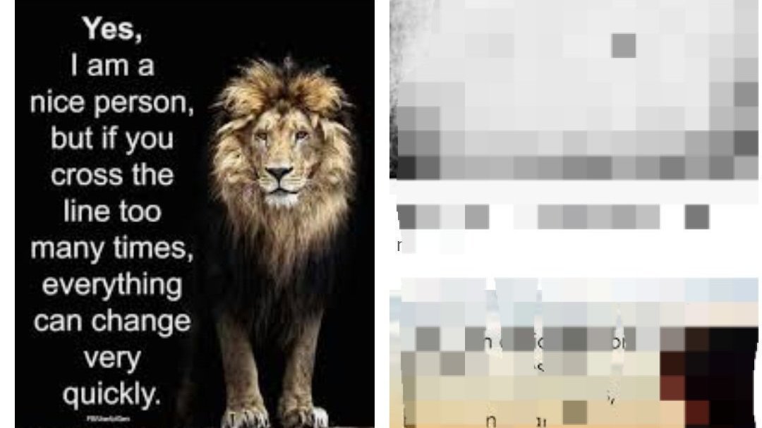 Petition · Honor & Dignity in Lionism - Mumbai, India · Change.org