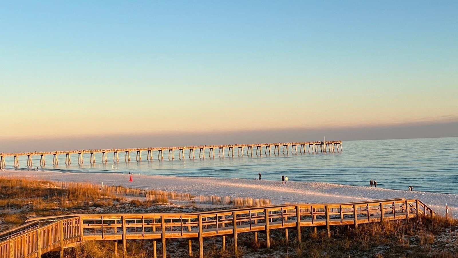 Petition · Allow lighter shirts for Windrose employees amid A/C crisis ...